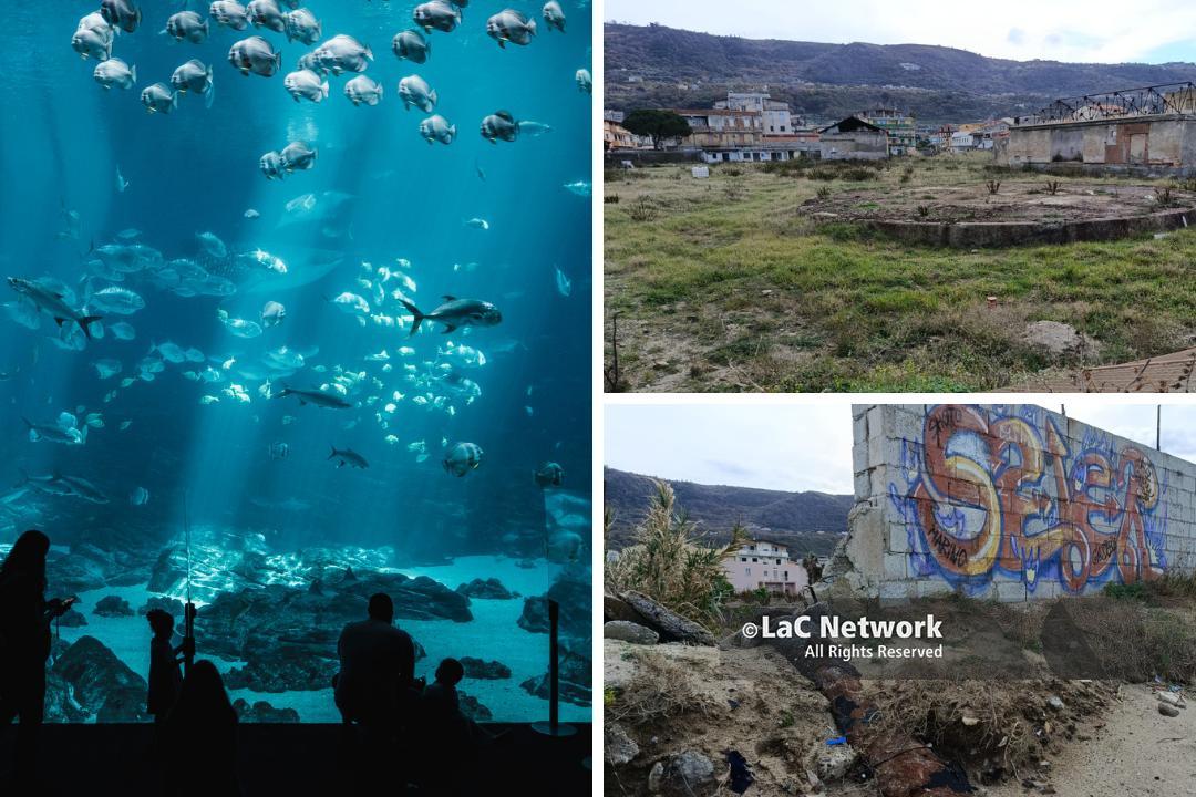 Vibo Marina, il Comune difende l’acquario da 8 milioni nell’ex Basalti ...